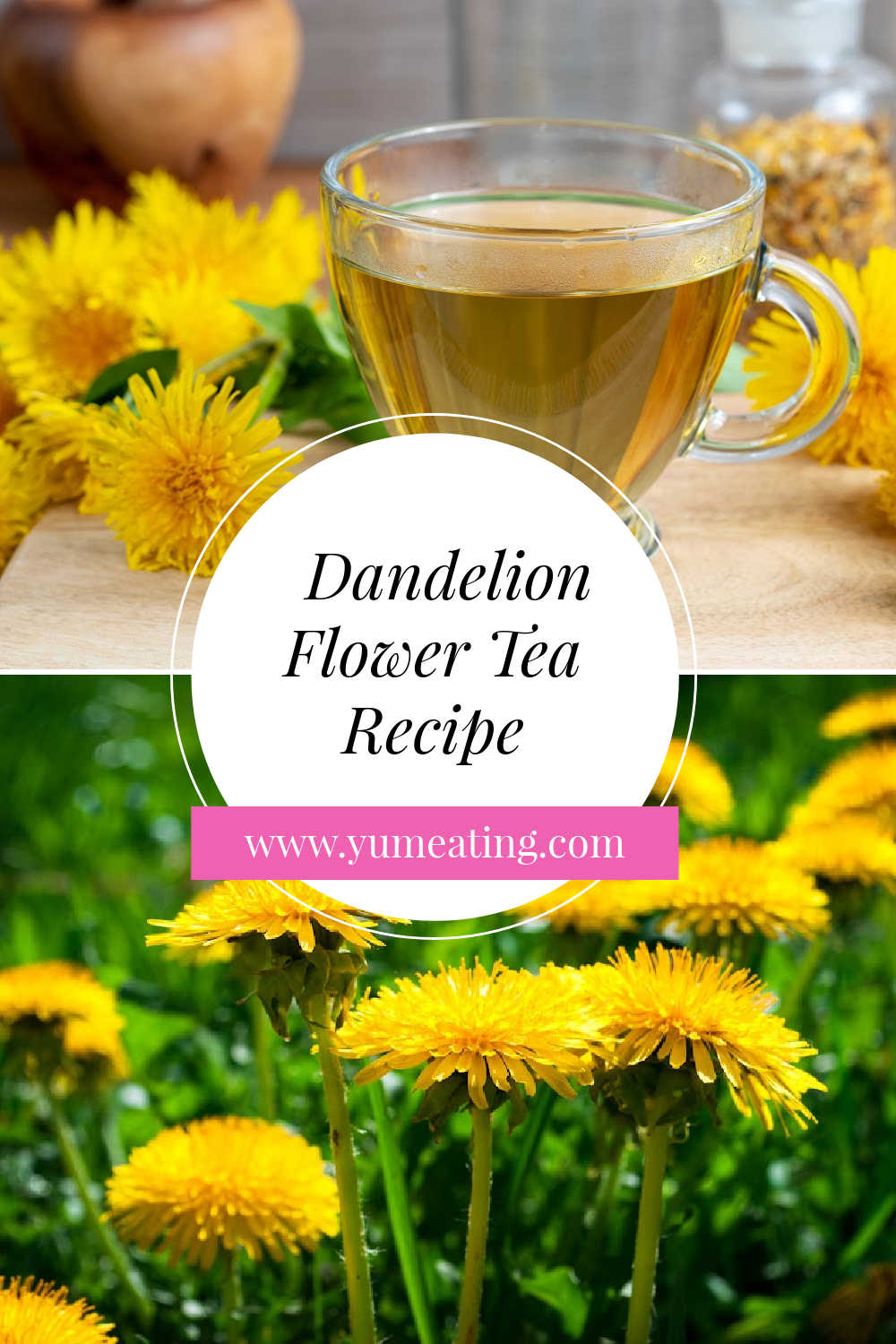 Dandelion Flower Tea Recipe - From fresh or dried flowers – Yum Eating